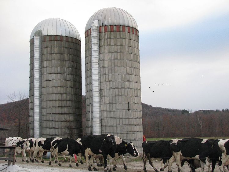 CLT: Charlotte Land Trust, Vermont