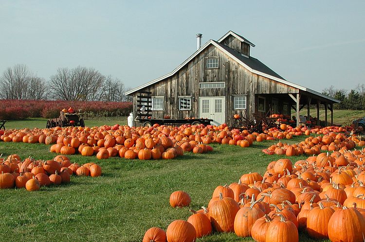CLT: Charlotte Land Trust, Vermont